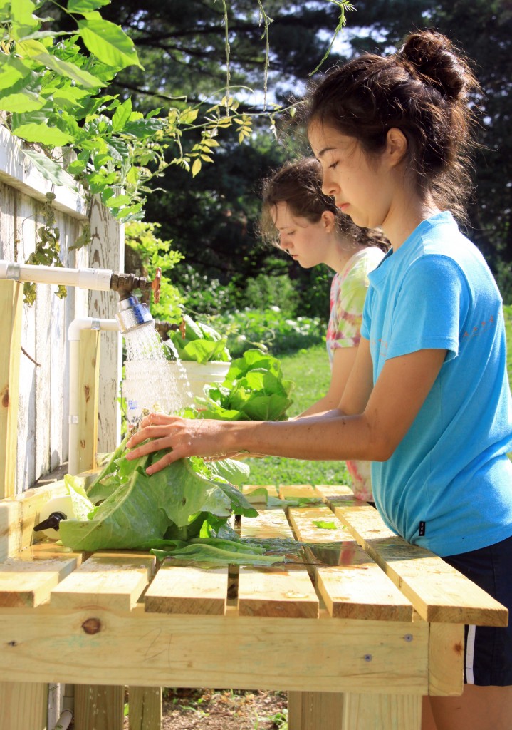 LEAF (Leadership, Education and Farming) Project | Greater Carlisle Project